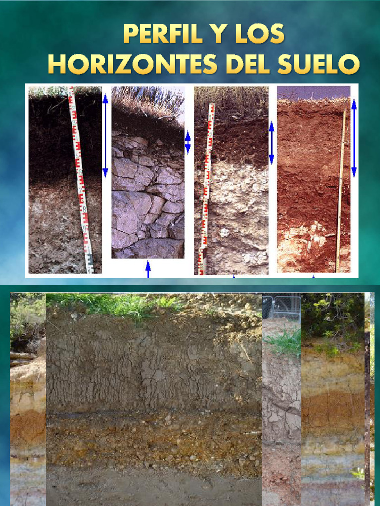 Estructura y Horizontes del Suelo | PDF | Suelo | Roca (geología)