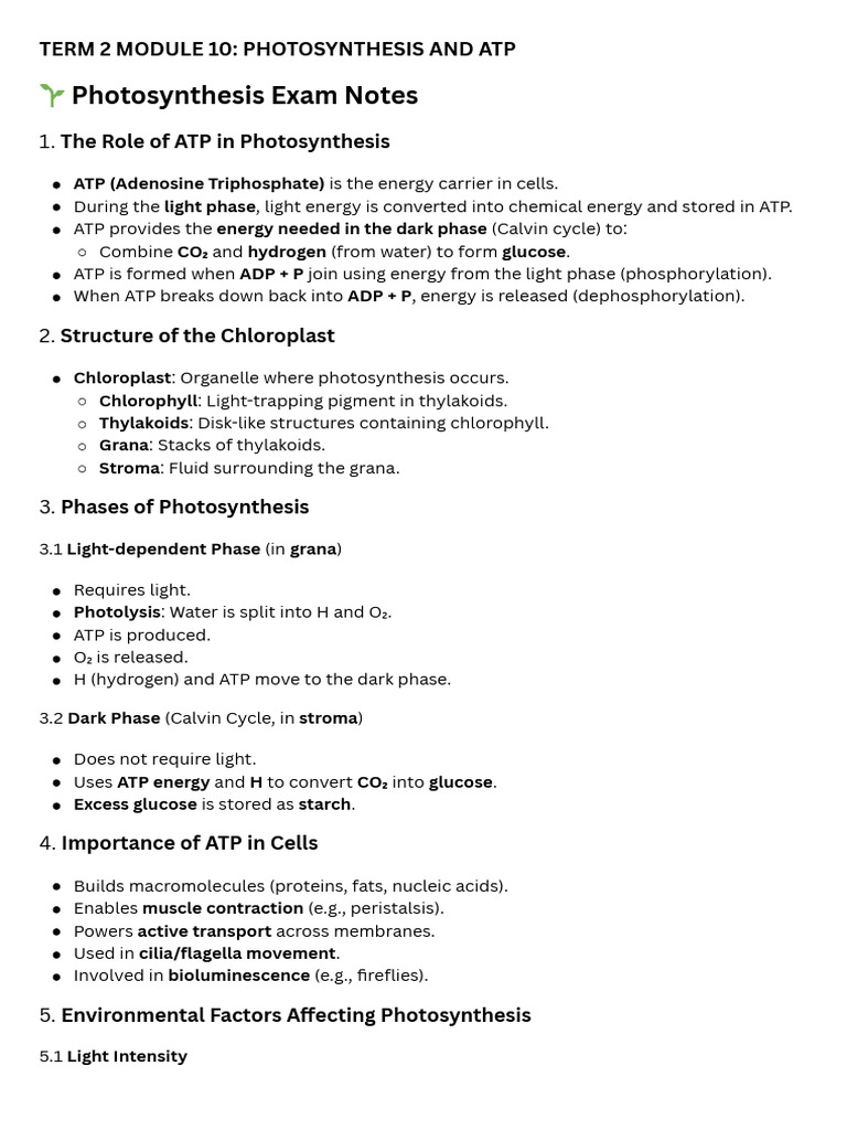 Photosynthesis and ATP Exam Notes | PDF | Photosynthesis | Adenosine ...
