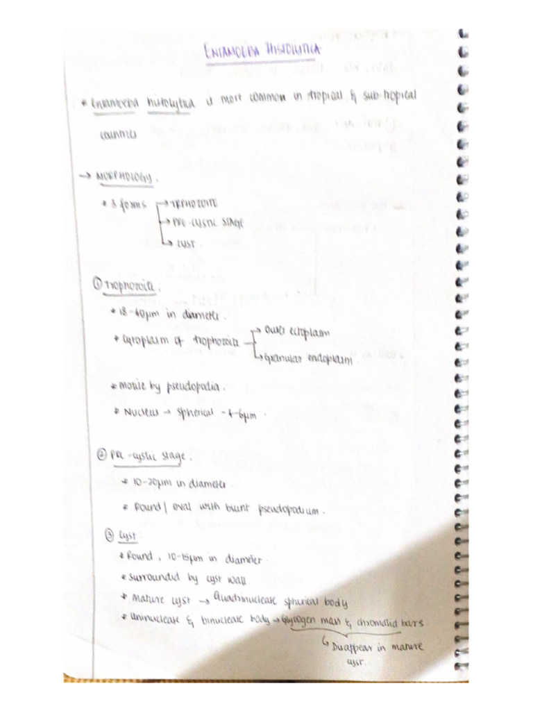 Entamoeba Histolytica | PDF