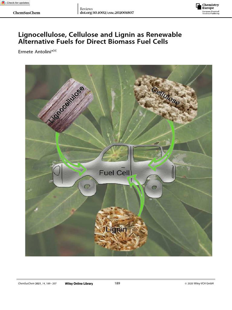 Lignocellulose Cellulose and Lignin As Renewable Alternative Fuels For ...