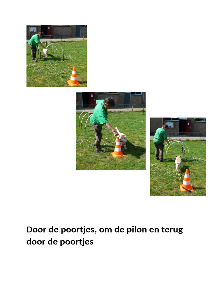 Door de Poortjes | PDF