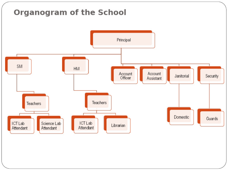 5 Organogram of The School | PDF
