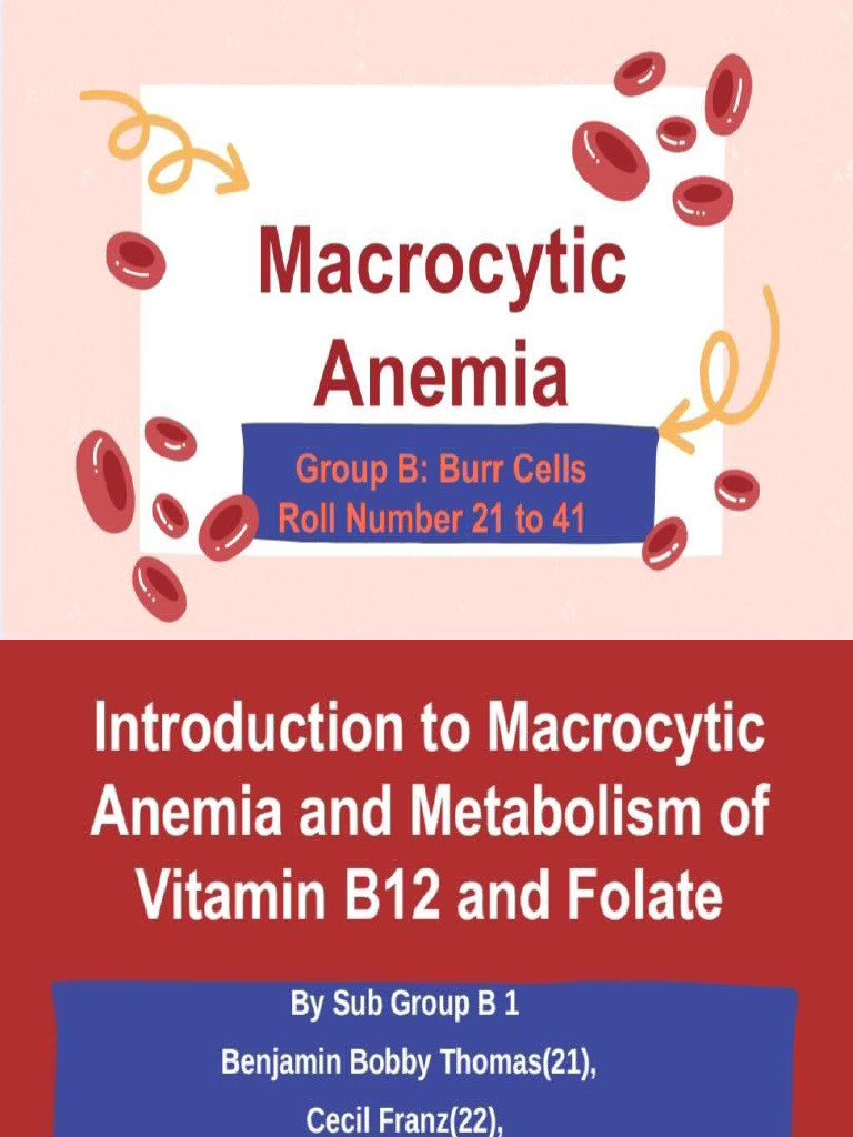 Macrocytic Anemia: Causes and Diagnosis | PDF | Anemia | Blood