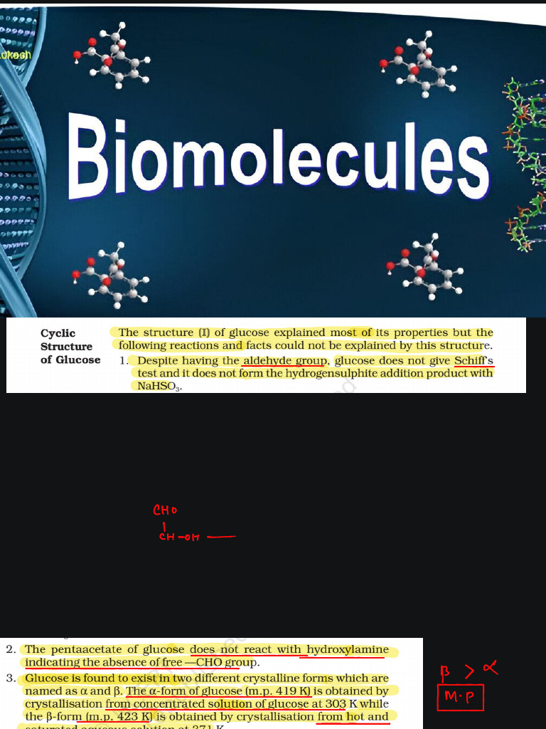 Biomolecules 03 | PDF