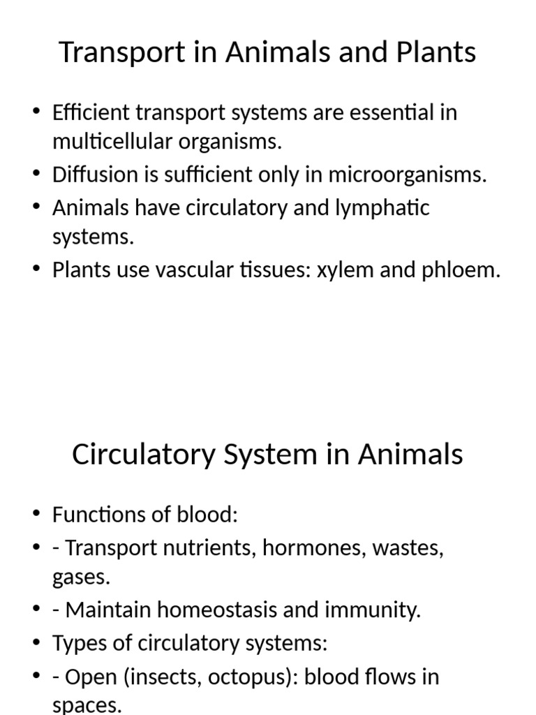 Transport Systems in Animals and Plants | PDF | Circulatory System | Heart
