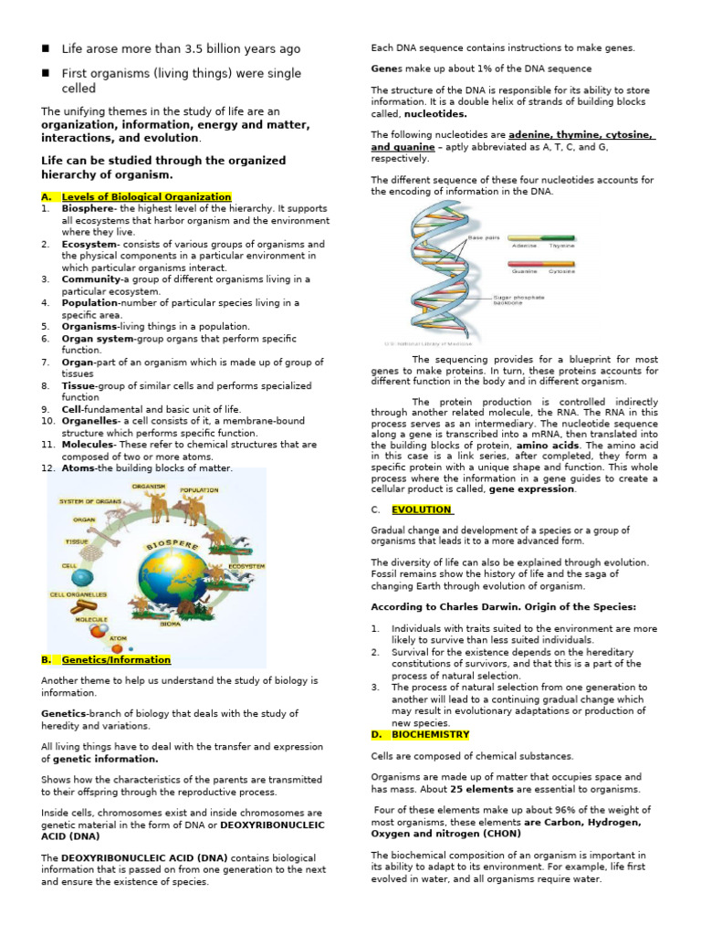 Understanding Life: Biology Basics | PDF | Cellular Respiration | Biology