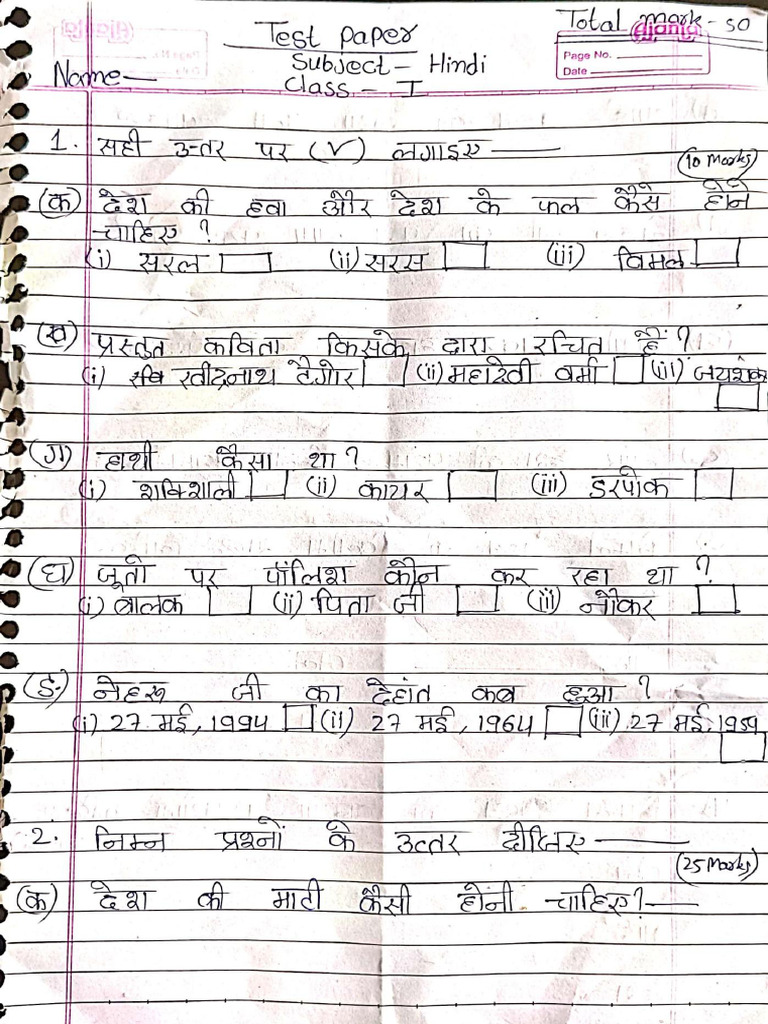 Hindi Test Paper | PDF