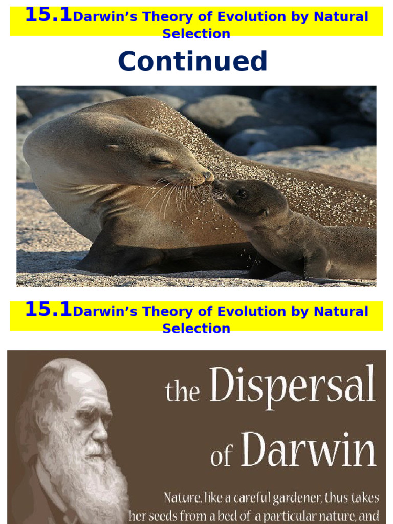 15.1 Darwins Theory of Evolution 2 Aa - Weebly | PDF | Natural ...