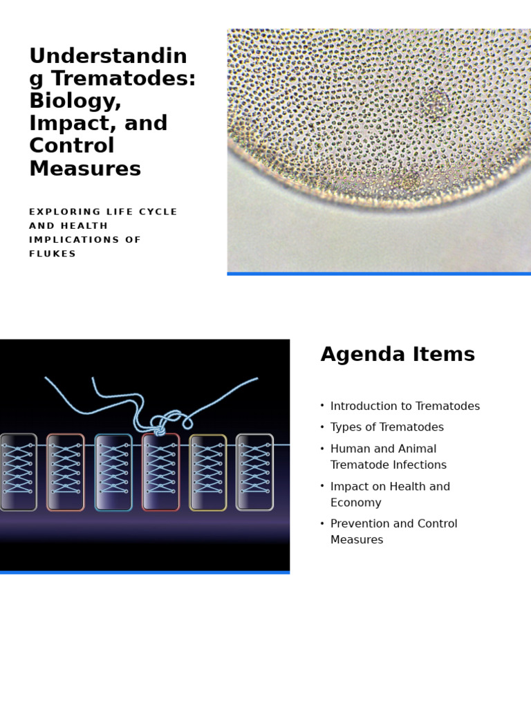 Understanding Trematodes | PDF | Infection | Public Health