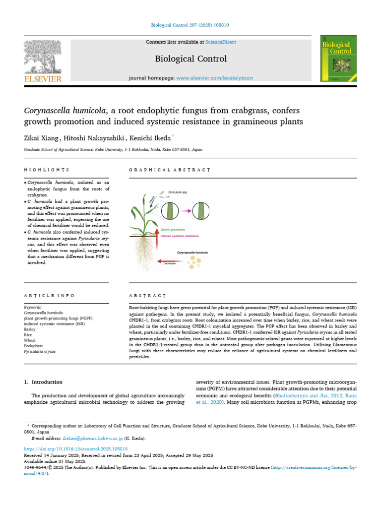Corynascella Humicola A Root Endophytic Fungus From Crabgrass 2025 ...