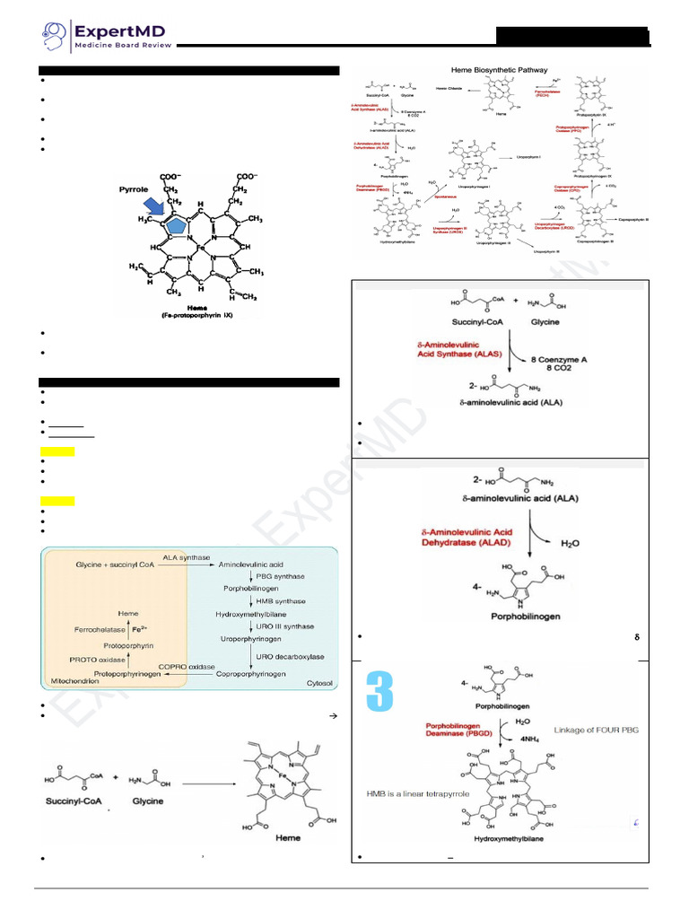 Heme Biosynthesis and Breakdown Overview | PDF | Anemia | Medical ...