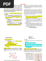 Protocolo Hints | PDF | Neuroimagen | Vértigo