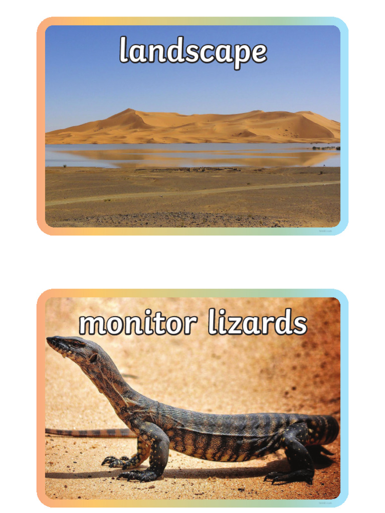Ks1 Sahara Desert Display Photo Pack Ver 1 | PDF