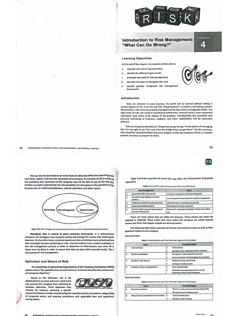 Chap4 Governance - Menesis | PDF