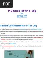 EMG Electrode Placement for Leg Muscles | PDF | Knee | Foot