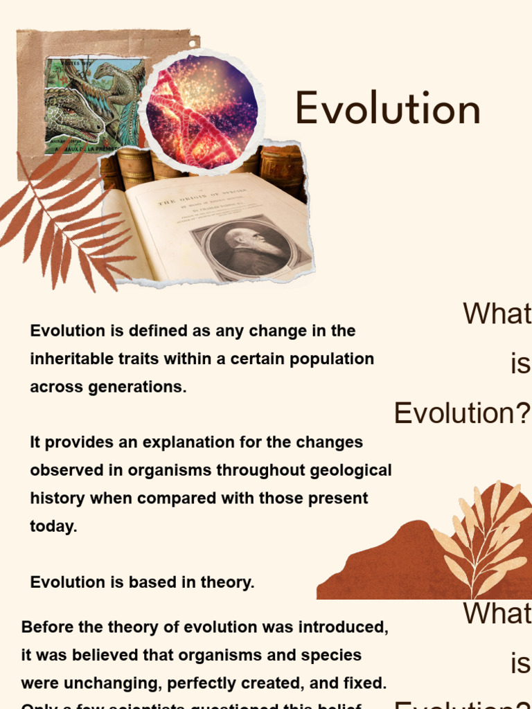 Evidence For Evolution | PDF | Evolution | Natural Selection