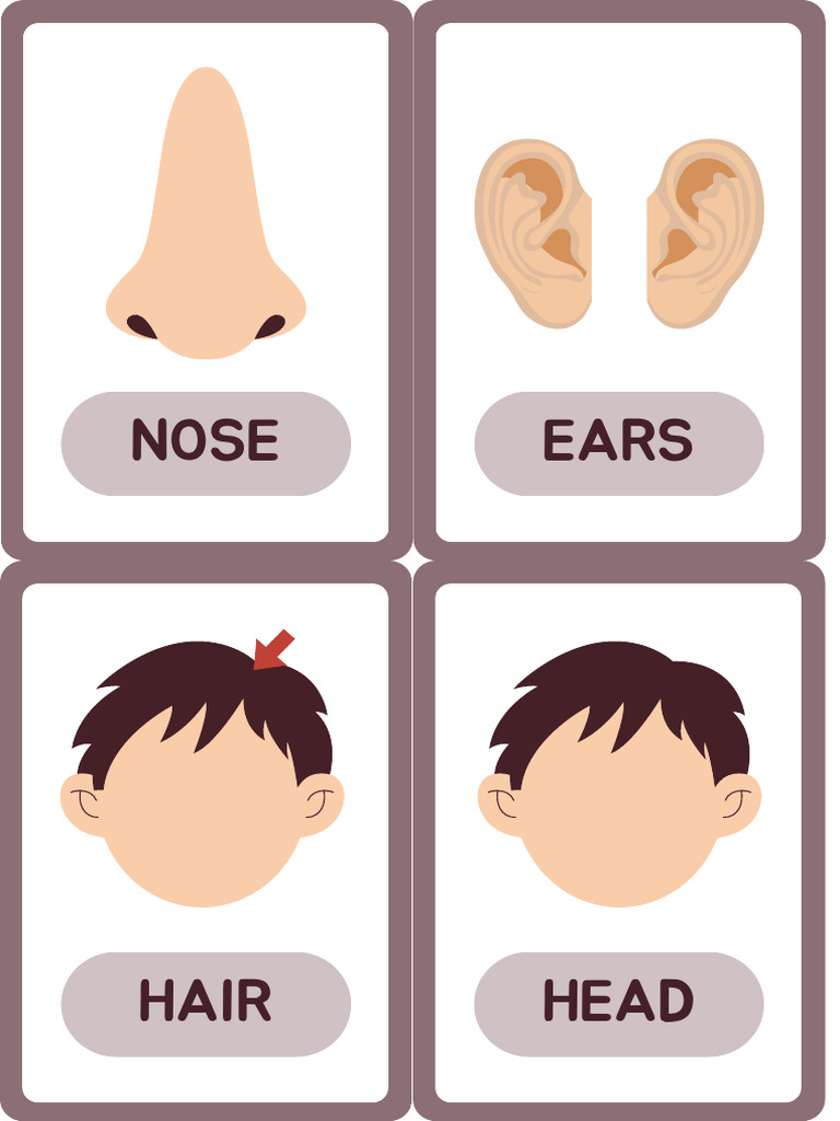 Flashcards Body Parts | PDF