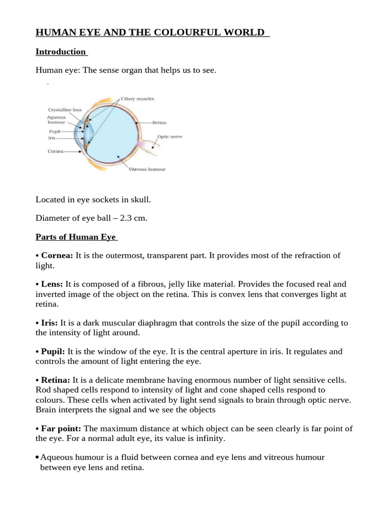 Human Eye Anatomy and Vision Defects | PDF | Eye | Human Eye