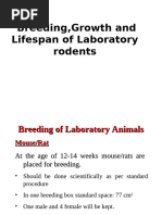 lt0001 Mouse Pup Appearance | PDF | Mammals