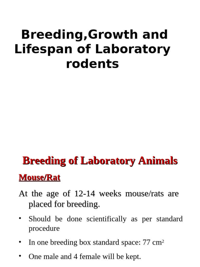 Breeding, Growth and Lifespan | PDF | Laboratory Rat | Mouse