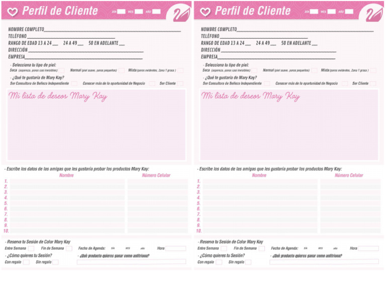 Perfil Cliente 2 | PDF