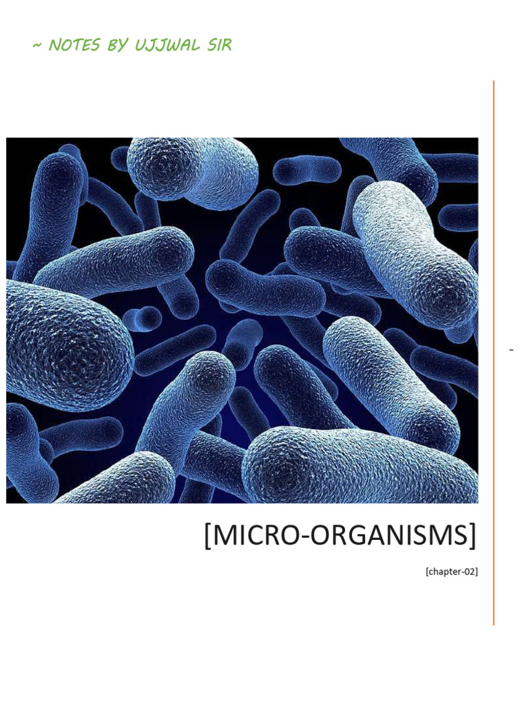 Class 8-1 | PDF | Microorganism | Bacteria