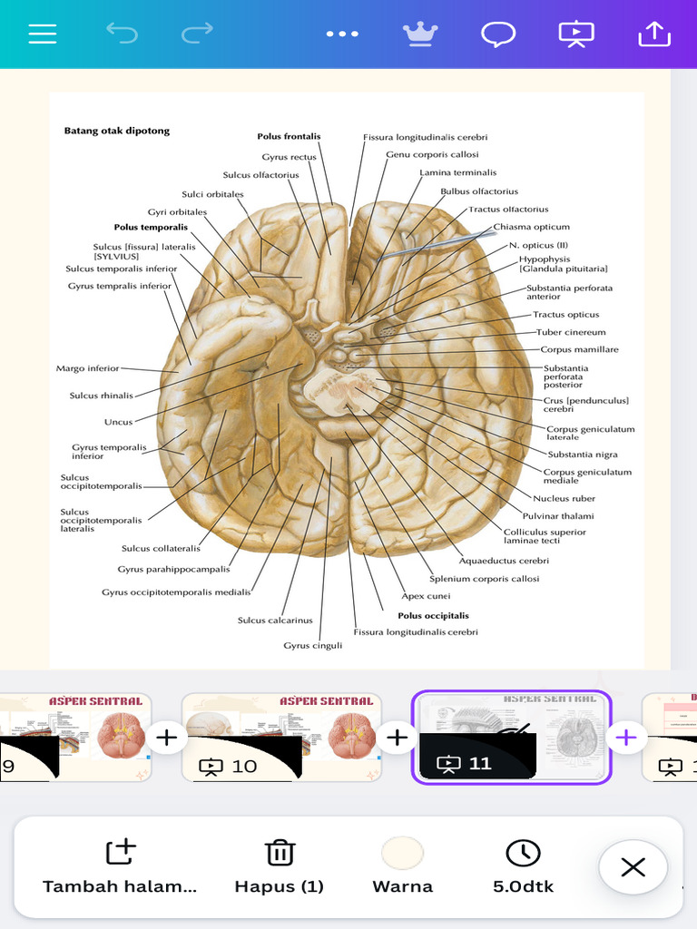 Modul 2 - Presentasi | PDF