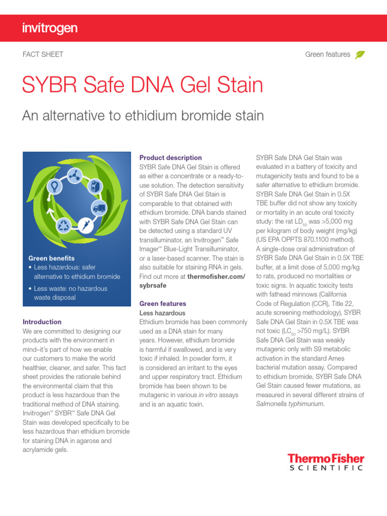 SYBR Safe DNA Gel Stain Overview | PDF | Agarose Gel Electrophoresis