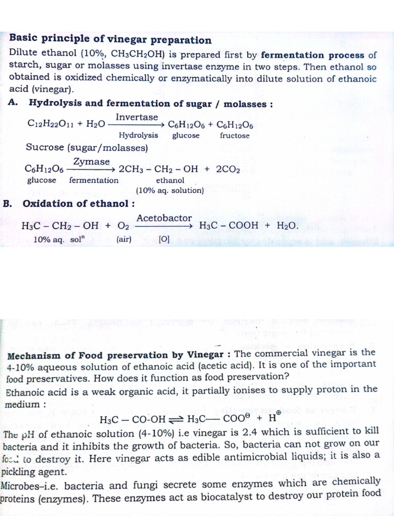 Vinegar Preparation, Mechanism and Importance | PDF
