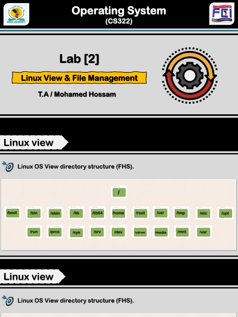 (CS322) OS - Lab (2) Linux View & File Management | PDF | Computer File | Linux