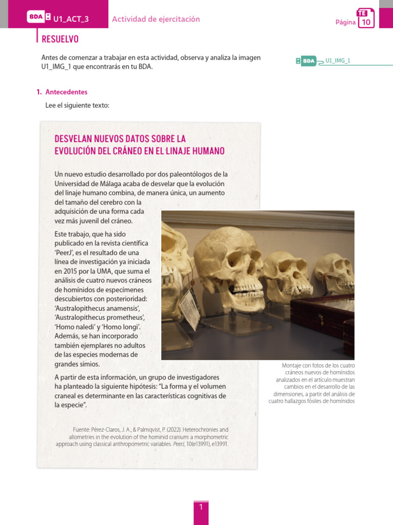 U1 Act 3 Craneos | PDF | Homo | Humano