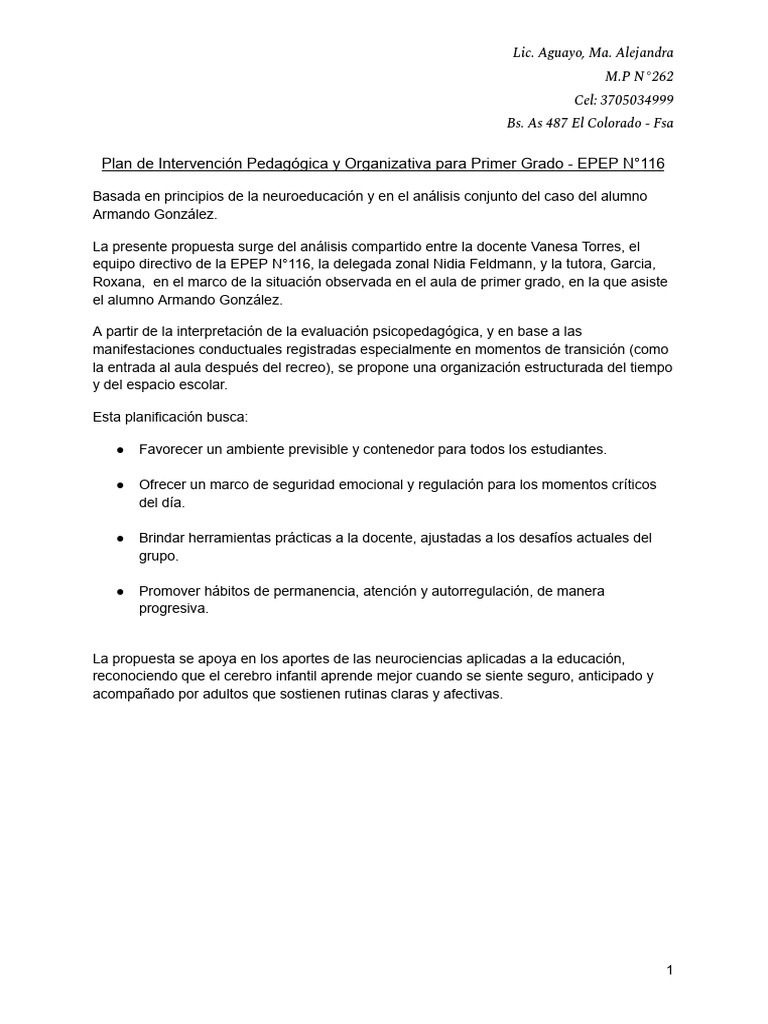 Plan de Intervención Pedagógica y Organizativa para Primer Grado - EPEP N°116 | PDF | Las ...