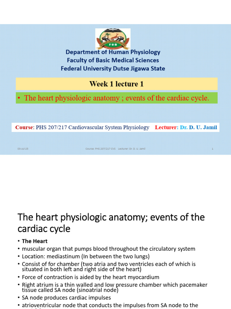 PHS 207 CVS 2025 SLIDE Lec 1-3 | PDF | Heart | Atrium (Heart)