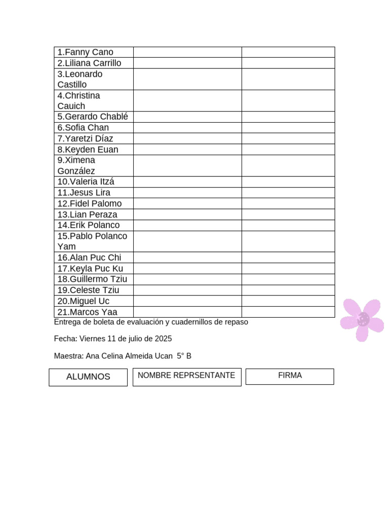 Formato de Entrega de Boletas | PDF