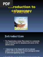 Pap Smear: Position The Patient | PDF | Cervical Cancer | Gynaecology