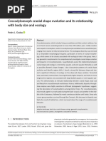 Late Jurassic Protosuchian Sichuanosuchus Huidongensis (Archosauria ...