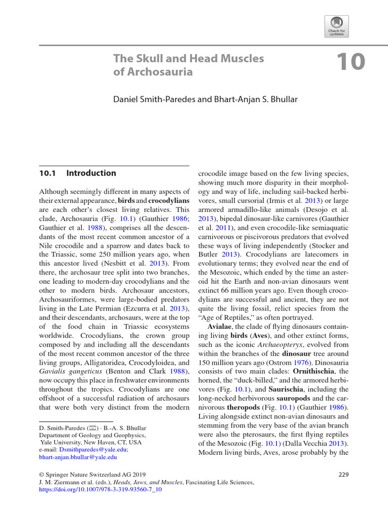 Archosauria Skull and Head Muscles | PDF | Vertebra | Skull