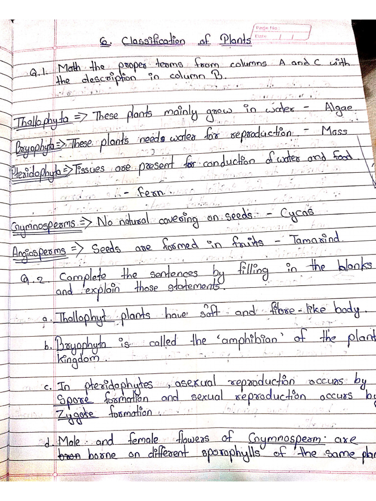Class 9th CH 6 Solution | PDF