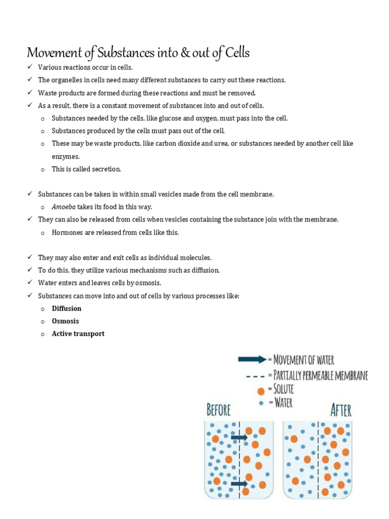 Movement of Substances Into and Out of Cells | PDF | Osmosis | Diffusion