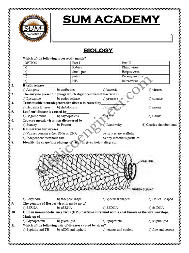 First Year 4th Test - Watermark | PDF | Rotation Around A Fixed Axis ...