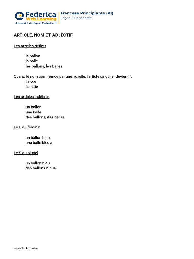 Articles et adjectifs en français A1 | PDF