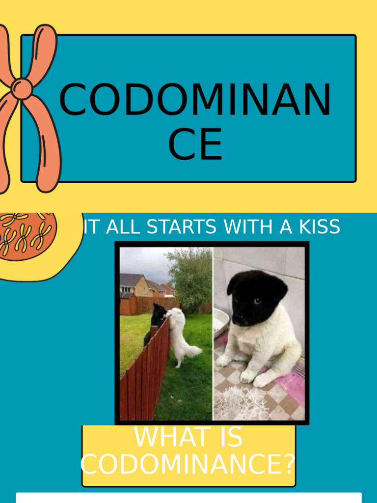 Codominance | PDF