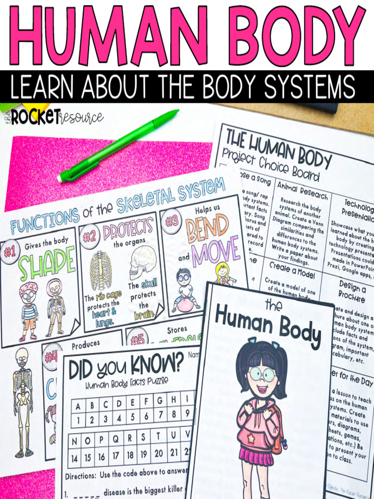 Understanding Body Systems by Oglesby | PDF | Human Body | Hormone