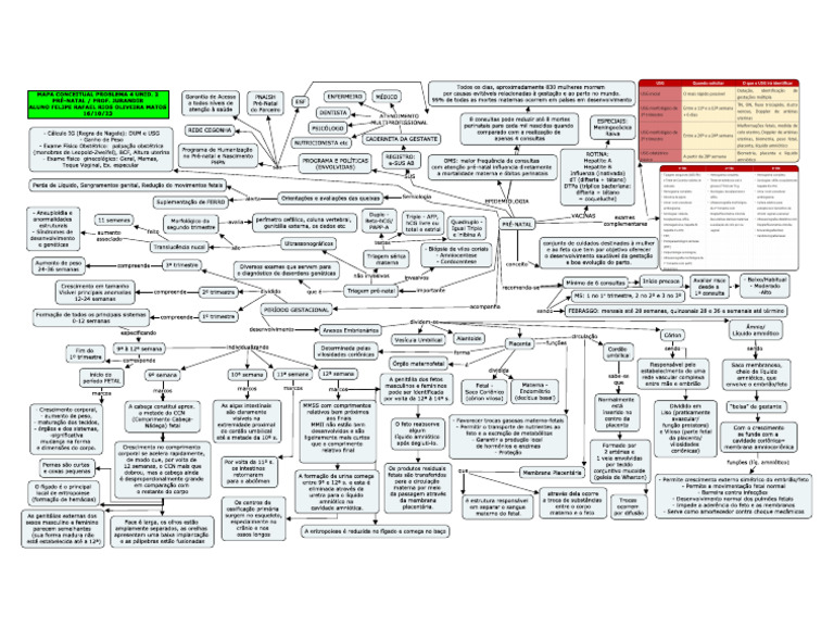 Mapa Conceitual Problema 4 Unidade 2 - Felipe Rafael Rios | PDF