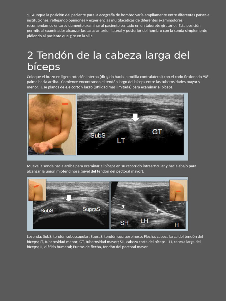 Ecografía del Hombro: Técnicas y Evaluación | PDF | Hombro ...