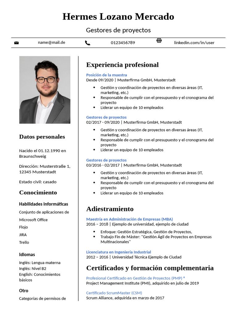 CV 17 | PDF | Gestión de proyectos | Business