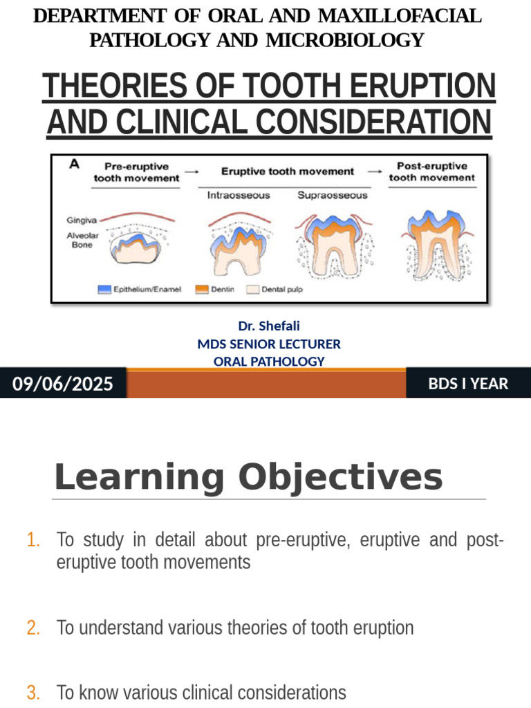 Theories of Tooth Eruption Explained | PDF | Human Tooth | Dental Anatomy