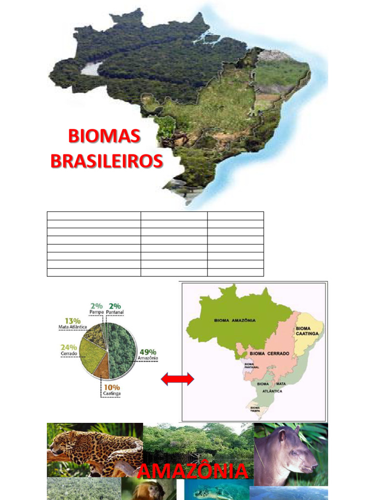 Biomas Brasileiros e Código Florestal | PDF | Floresta Amazônica ...