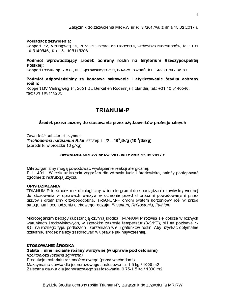 Trianum P | PDF