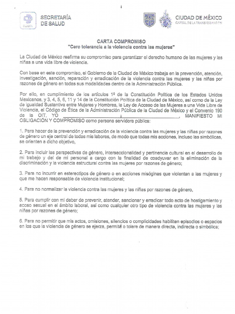 Anexo Circular 001-2025 | PDF